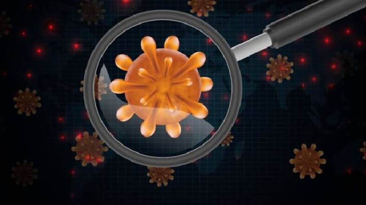 मांस खाने वाले बैक्टीरिया का आतंक, लोग हो रहे मौत का शिकार, आखिर कौन-सा ...