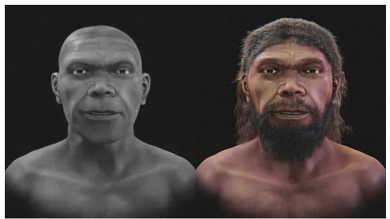 Face of the first Homo sapien: ജബൽ ഇർഹൂദിനെ അറിയുമോ? 3,00,000 വർഷം ...
