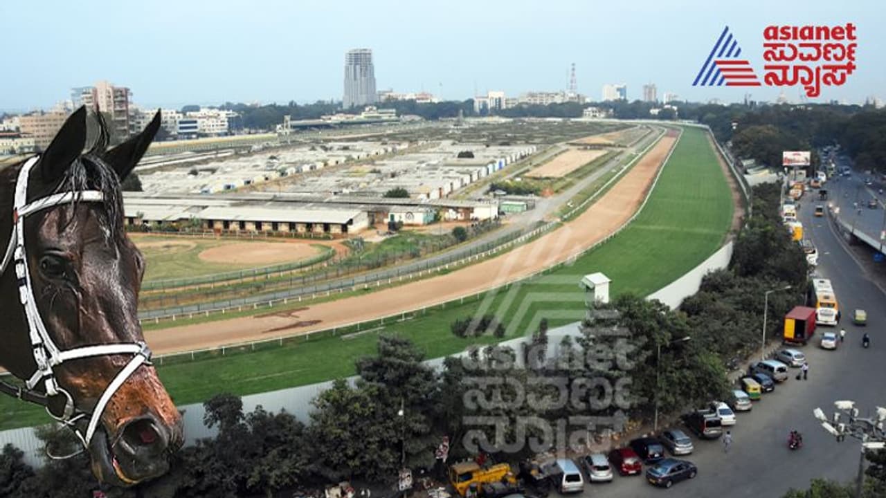 ಷರತ್ತು ಬದ್ಧ horse racing ಗೆ Karnataka High Court ಮಧ್ಯಂತರ ಒಪ್ಪಿಗೆ, 3 ...