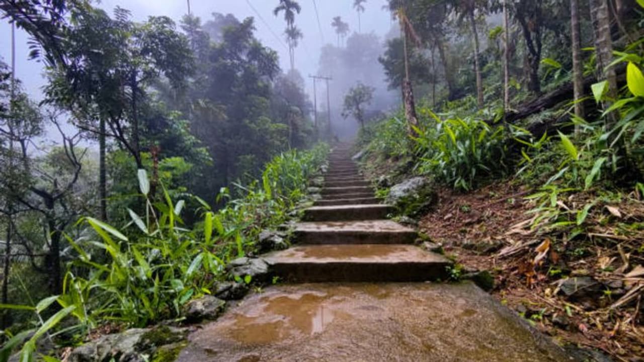 Cherrapunji to Coorg: Popular Monsoon Destinations in India ...
