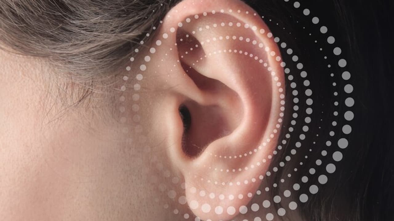 Ears: మీ చెవుల గురించి ఈ విషయాలు మీకు తెలుసా? ఎలా పని చేస్తాయో తెలుసా? | Amazing Facts About ...