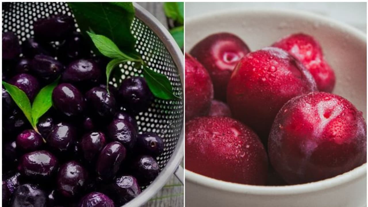 Jamun to Plums: 5 Fruits you should eat in monsoon for better immunity ...