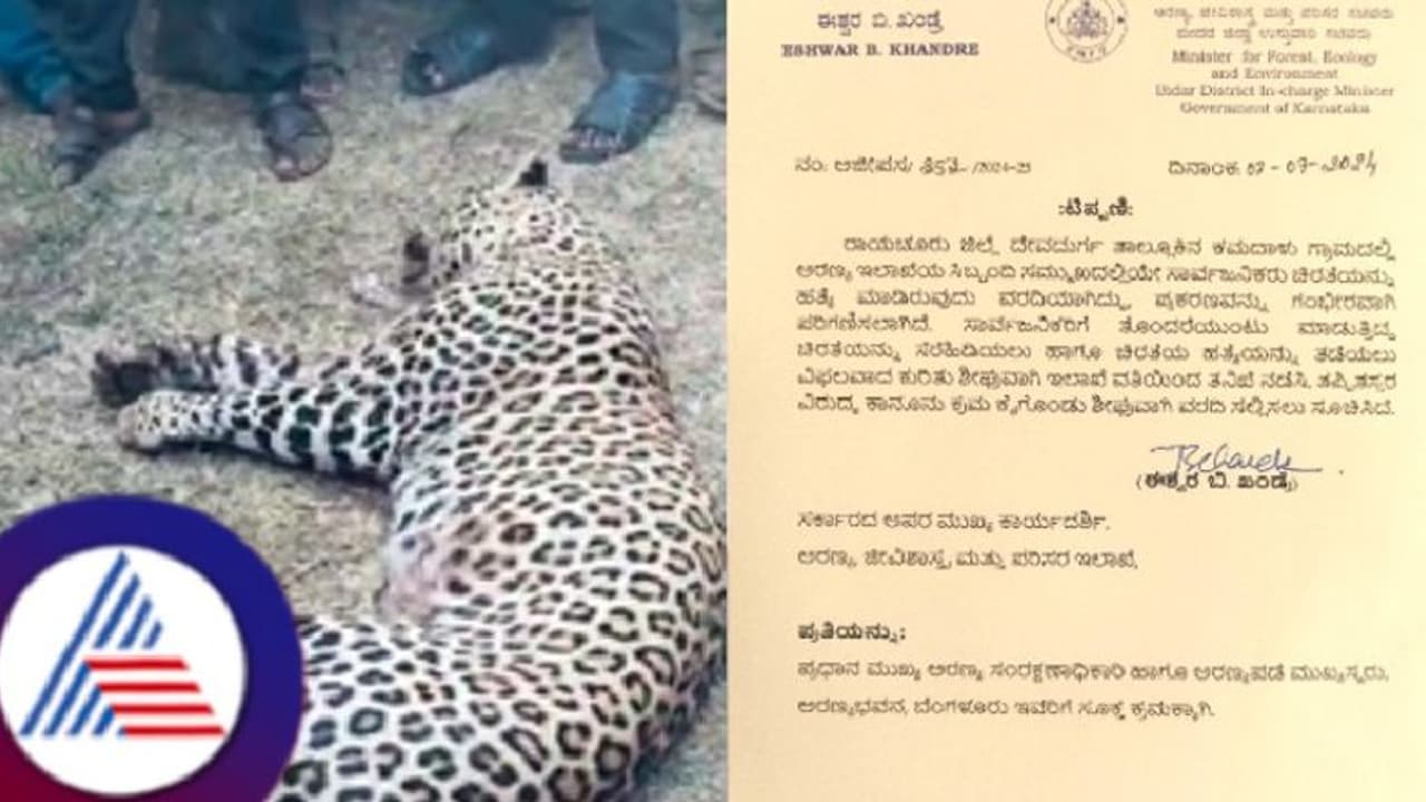 Karnataka govt orders probe into Leopard killing by villagers in ...