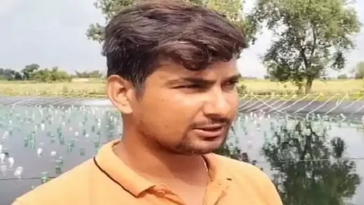 From Government Job Dreams to Pearl Farming Success: How This Rajasthan ...