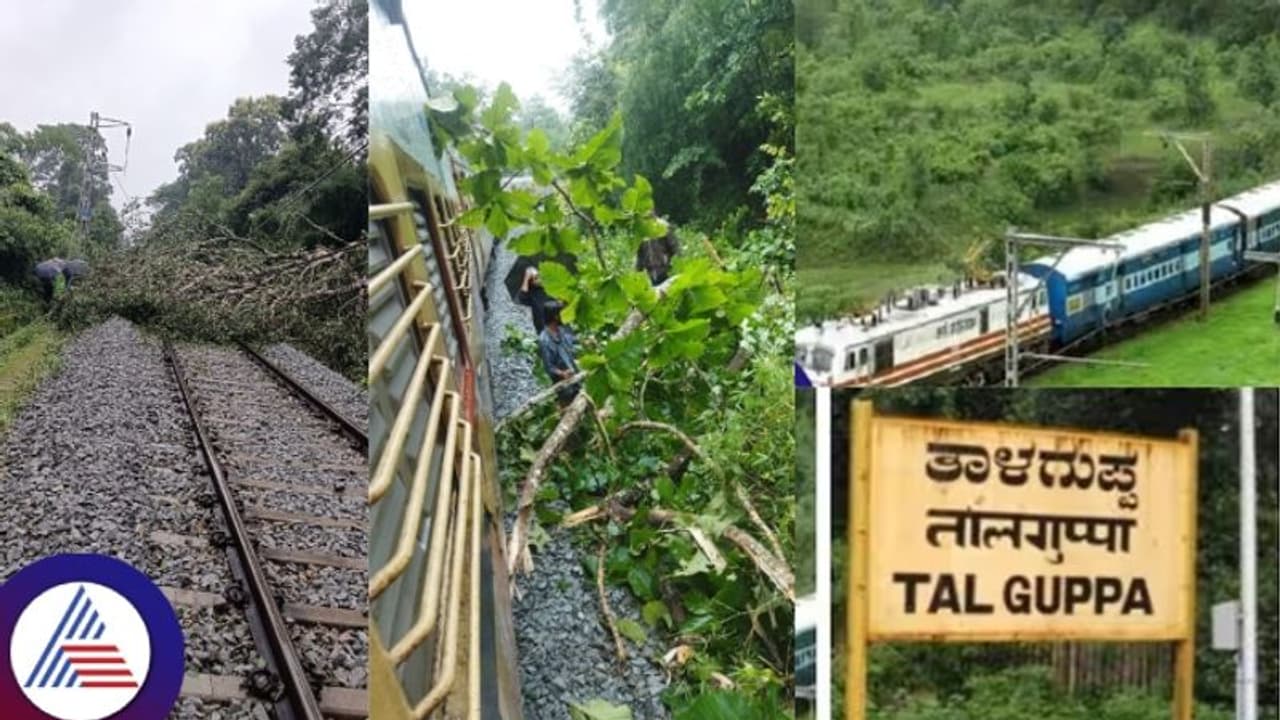 Bengaluru Talguppa railway track ನಲ್ಲಿ ಬಿದ್ದ ಬೃಹತ್ ಮರ ರೈಲು traffic ...