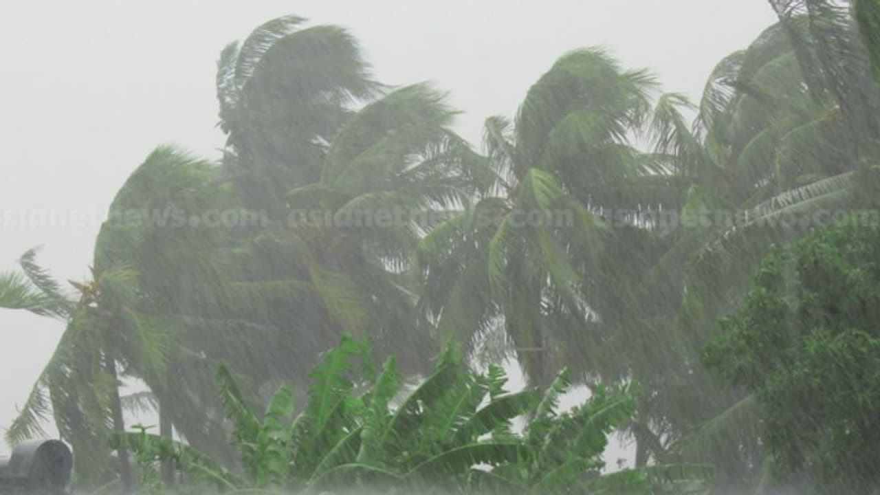 kerala weather important updates ആശ്വാസമാകാൻ മഴ വരുന്നേ! നാളെ മുത ...