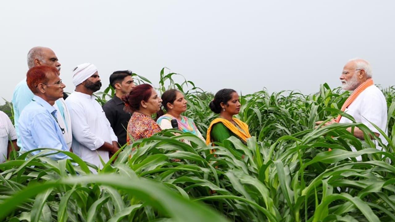 Kharif Crops MSP Hike: రైతులకు గుడ్ న్యూస్.. పంటలకు కనీస మద్దతు ధరలు ...