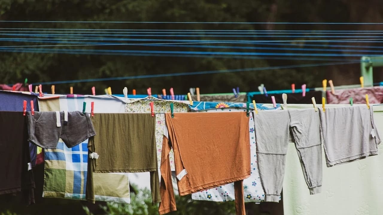 Washing Tips: துணிகளை எத்தனை முறை வாஷ் பண்றீங்க? துவைக்காமலே அணியும் ...
