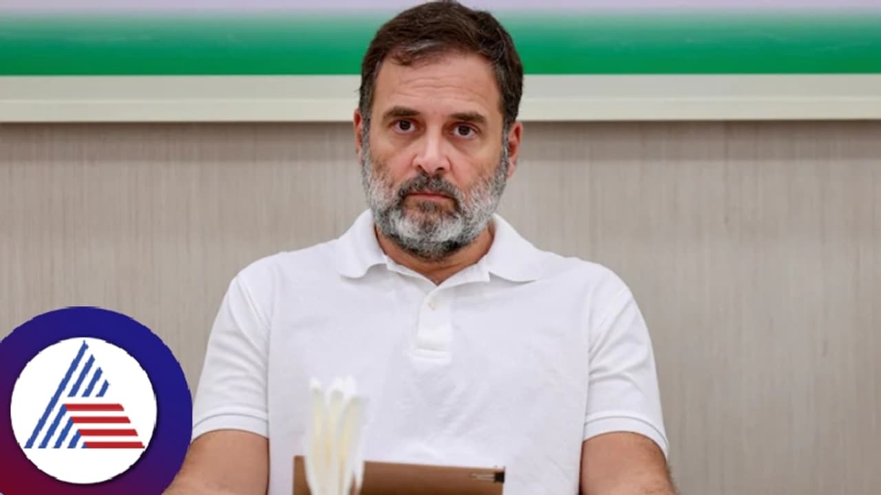 'No SC, ST or OBC has been Miss India': Rahul Gandhi reminded of Riya ...
