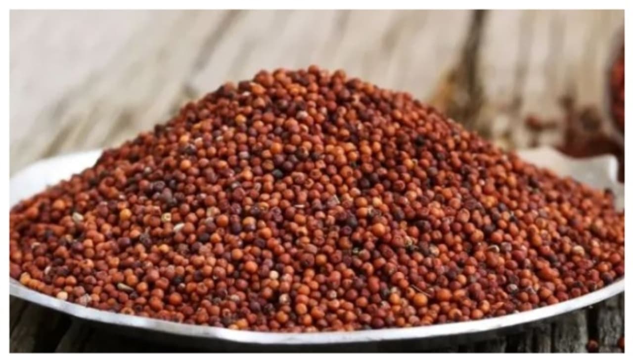 इन लोगों के लिए जानलेवा रागी का आटा ! भूलकर भी न करें सेवन | Ragi ...