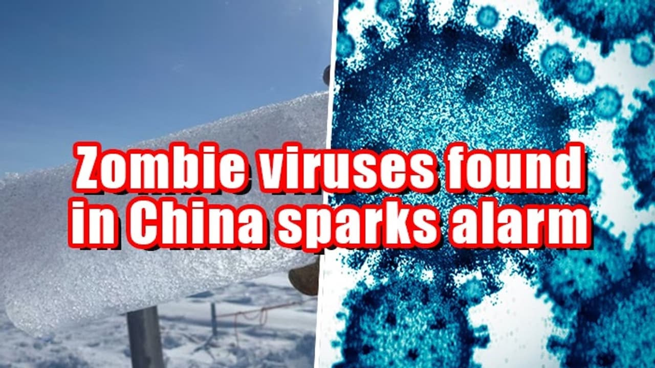 Over 1700 ancient zombie viruses, dating back 41,000 years, discovered ...
