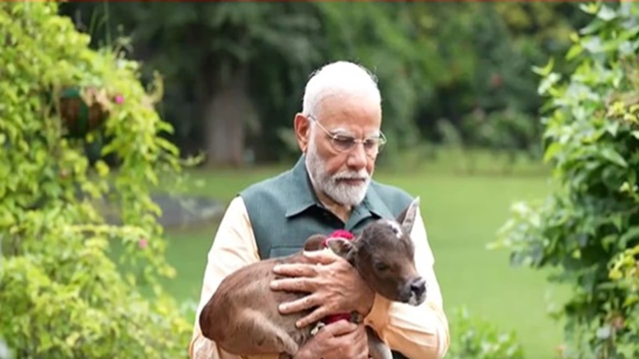 मोदी के घर आया 'नन्हा मेहमान', गोद में लिए दिखे प्रधानमंत्री-Watch ...