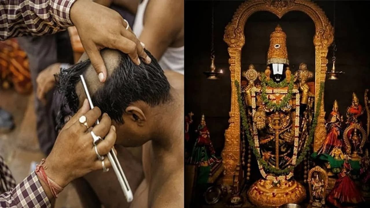 What happens to the 500-600 tons of hair donated at Tirupati Balaji ...