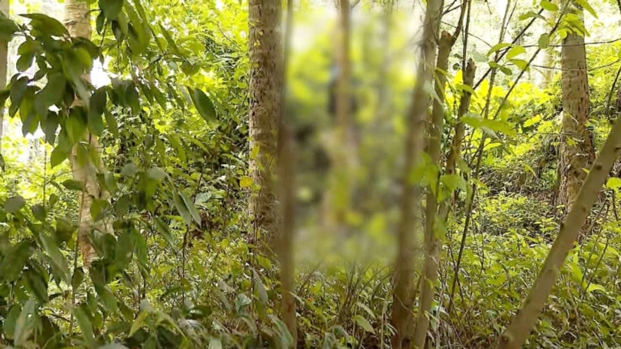 പോക്സോ കേസിൽ പ്രതിയായ മുന്‍ സിപിഎം ബ്രാഞ്ച് സെക്രട്ടറി മരിച്ച നിലയി ...