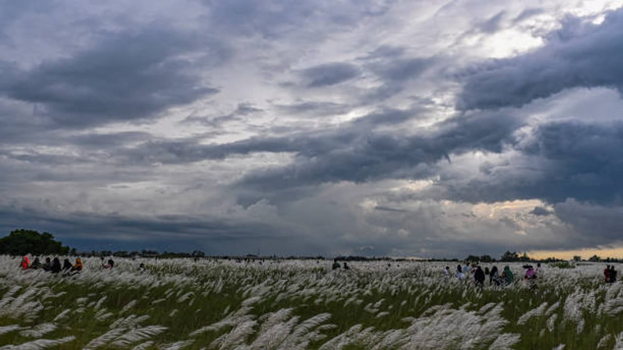 What is Kashful called in English which marks the arrival of Durga Puja ...