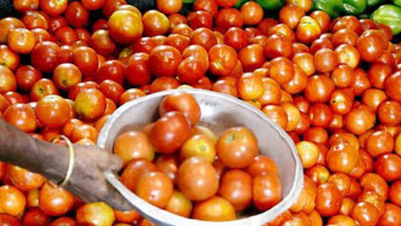 Tomato Price Drop : 8 கிலோ தக்காளி 100 ரூபாய்.! கூடை கூடையாக அள்ளிச் ...