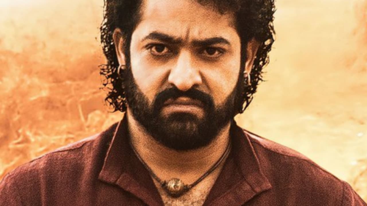 Devaras total India collection: ജൂനിയര്‍ എൻടിആറിന്റെ ദേവര ശരിക്കും എത്ര ...