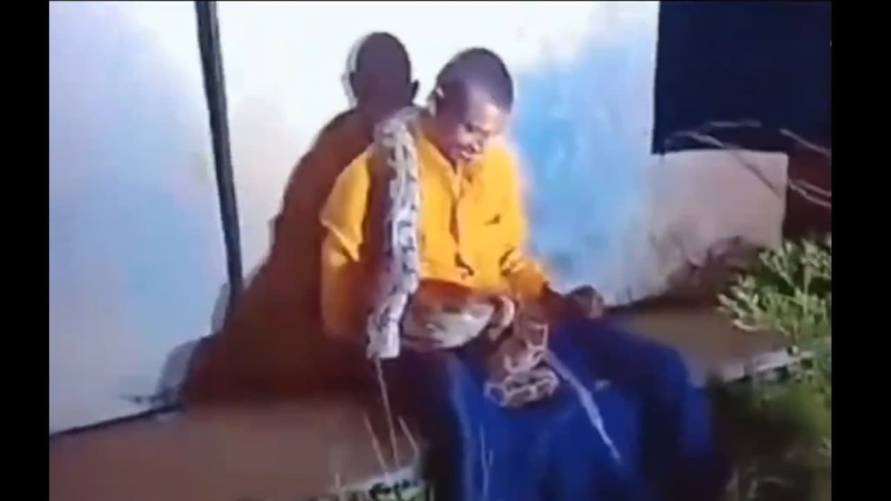 Huge Python coils around drunk man, rescued by brave locals; SCARY ...