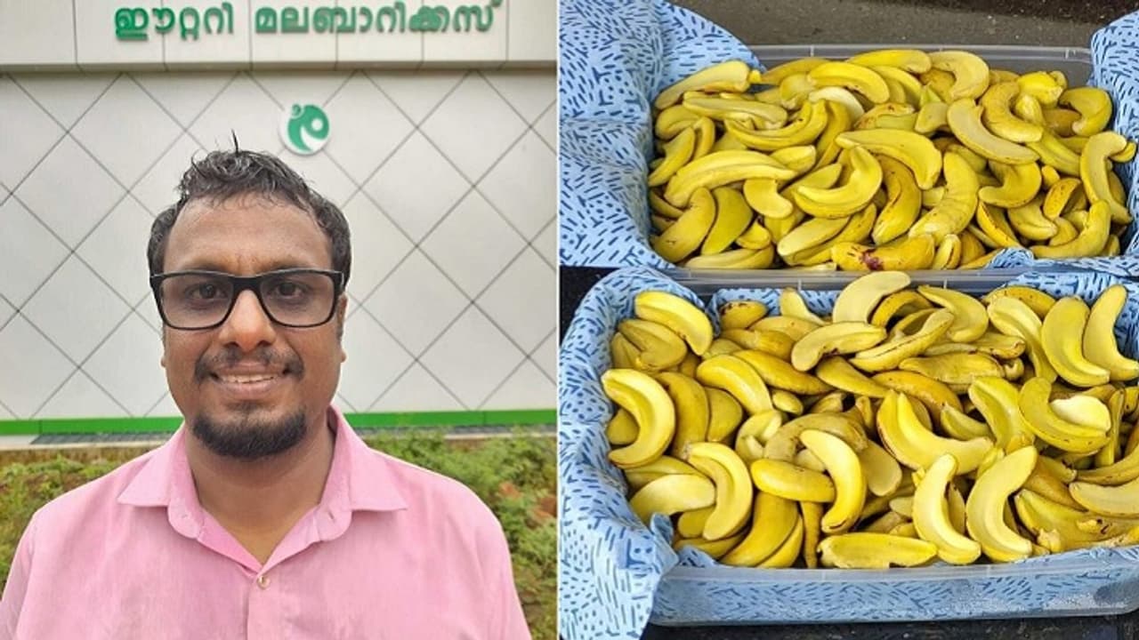 Kerala entrepreneur achieves success with cashew sprouts after job loss ...