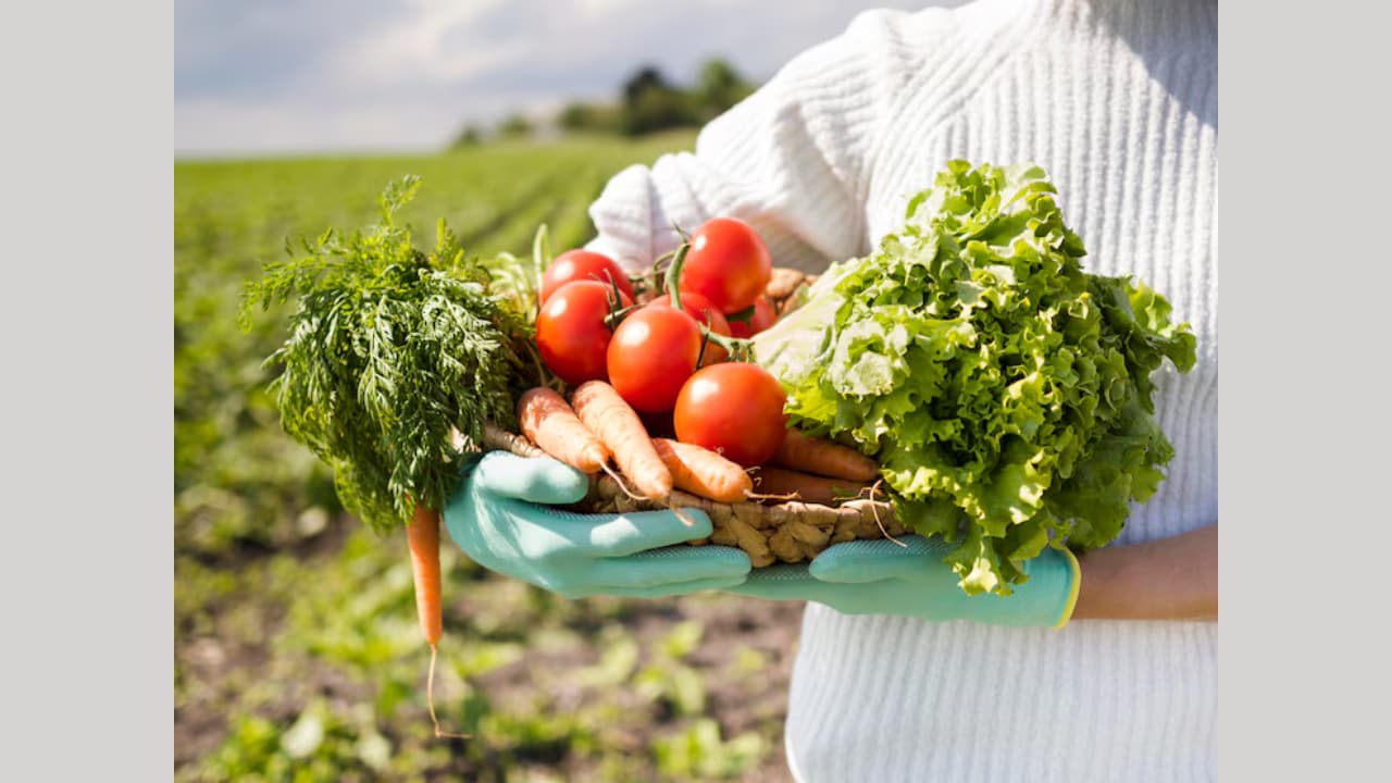 One acre, many crops: How to maximise profit with diverse vegetable ...