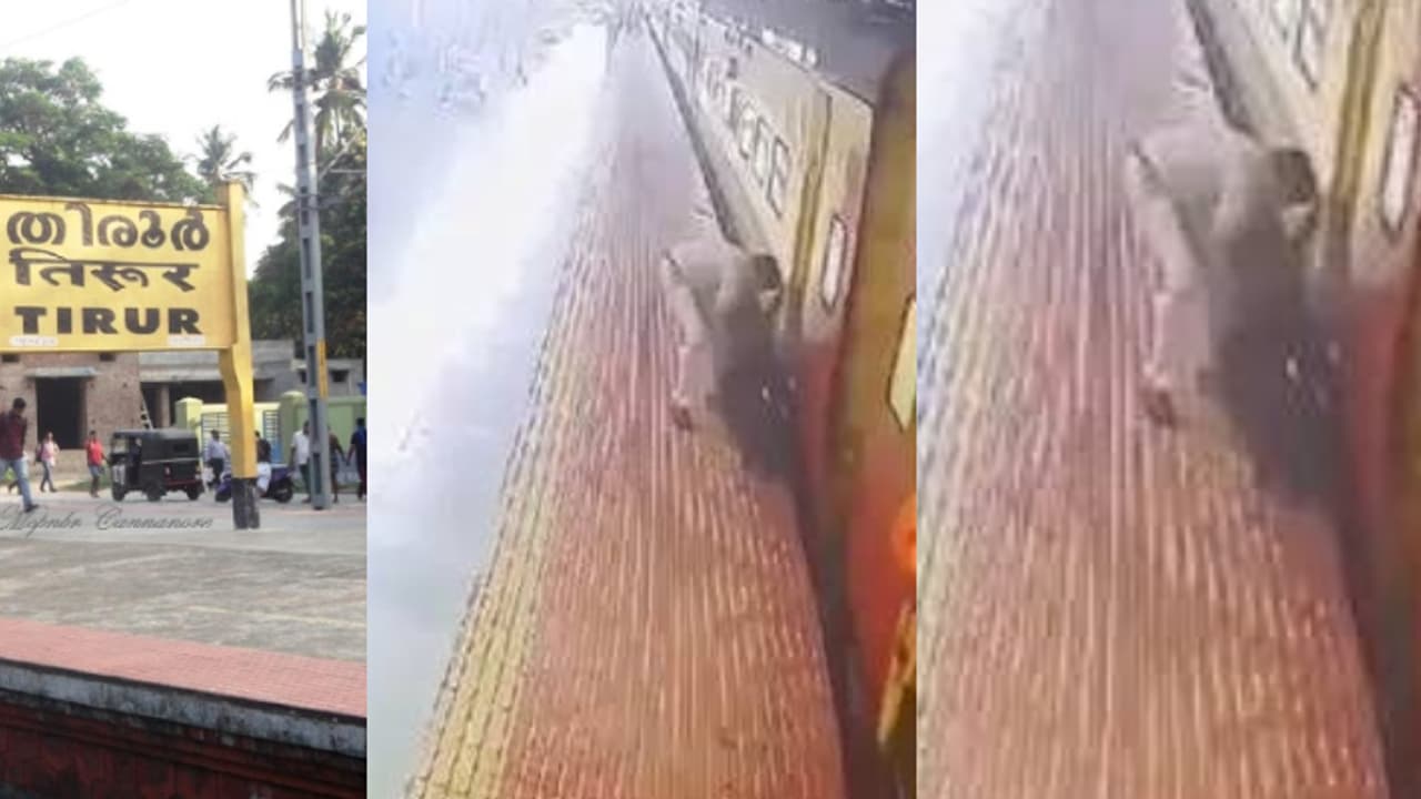 woman falling down between train and platform while jumping out from ...