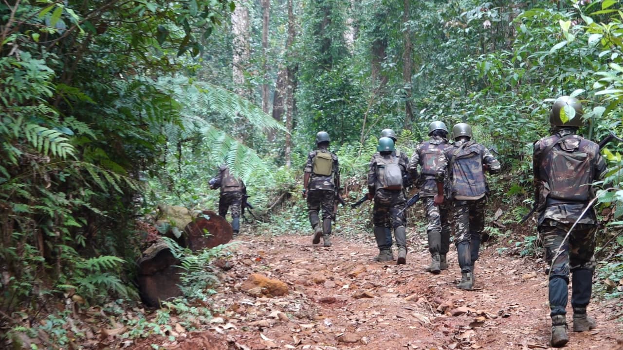 J-K: Encounter erupts between security forces and terrorists in Kathua | Asianet Newsable