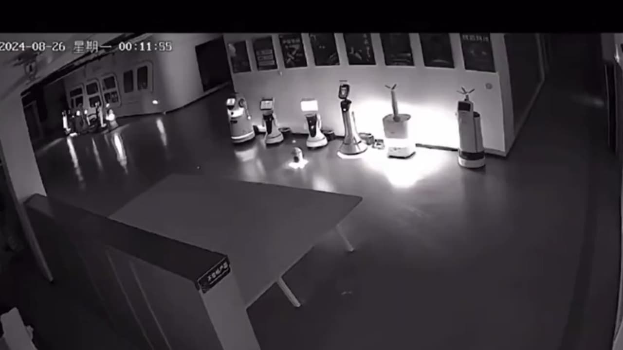 'Come home with me': 12 robots 'kidnapped' from showroom by another robot in China; video goes ...