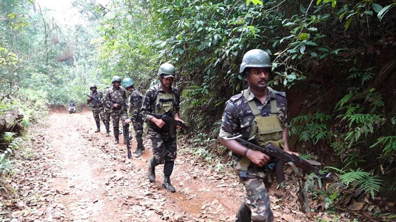 12 Naxalites killed in encounter with security forces in Chhattisgarh's ...