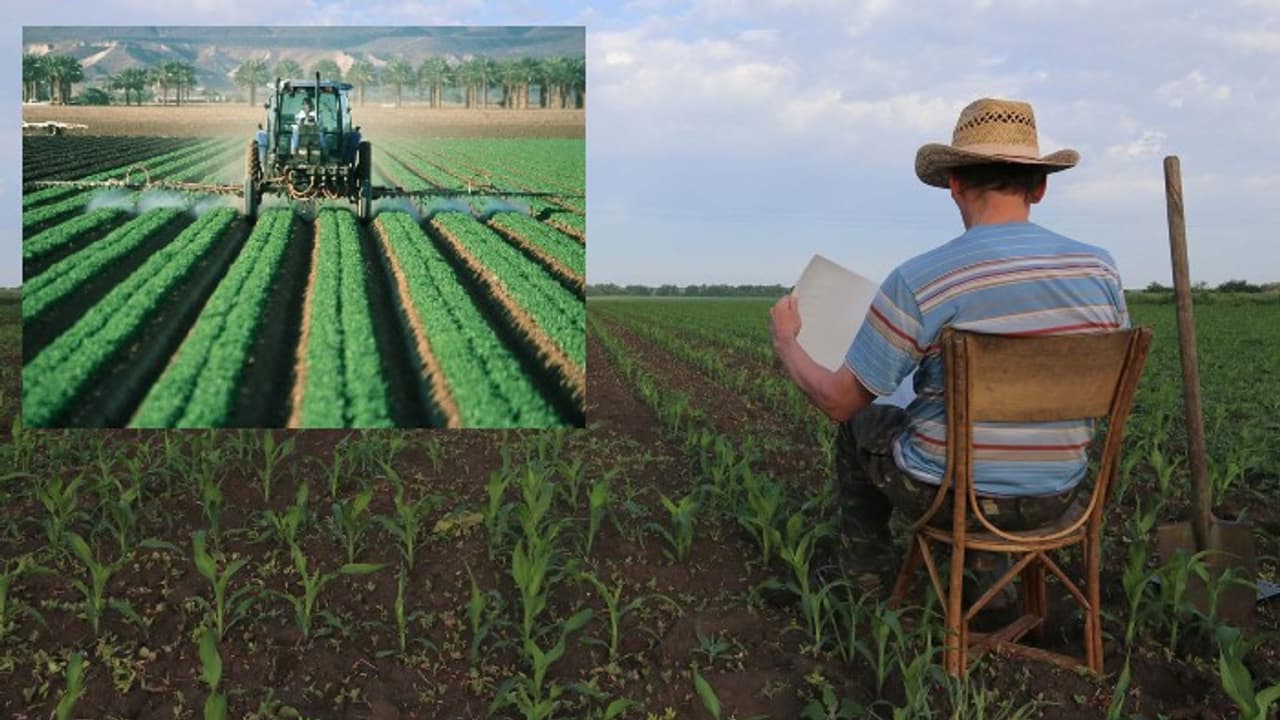 Actor Mohan Lal Son doing Agriculture in Spain ವ್ಯವಸಾಯ, ಪಶುಪಾಲನೆಯಲ್ಲಿ ...