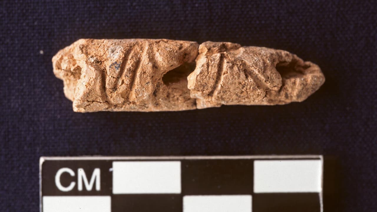 World's oldest ALPHABET discovered: 4,400-year-old text found on clay ...