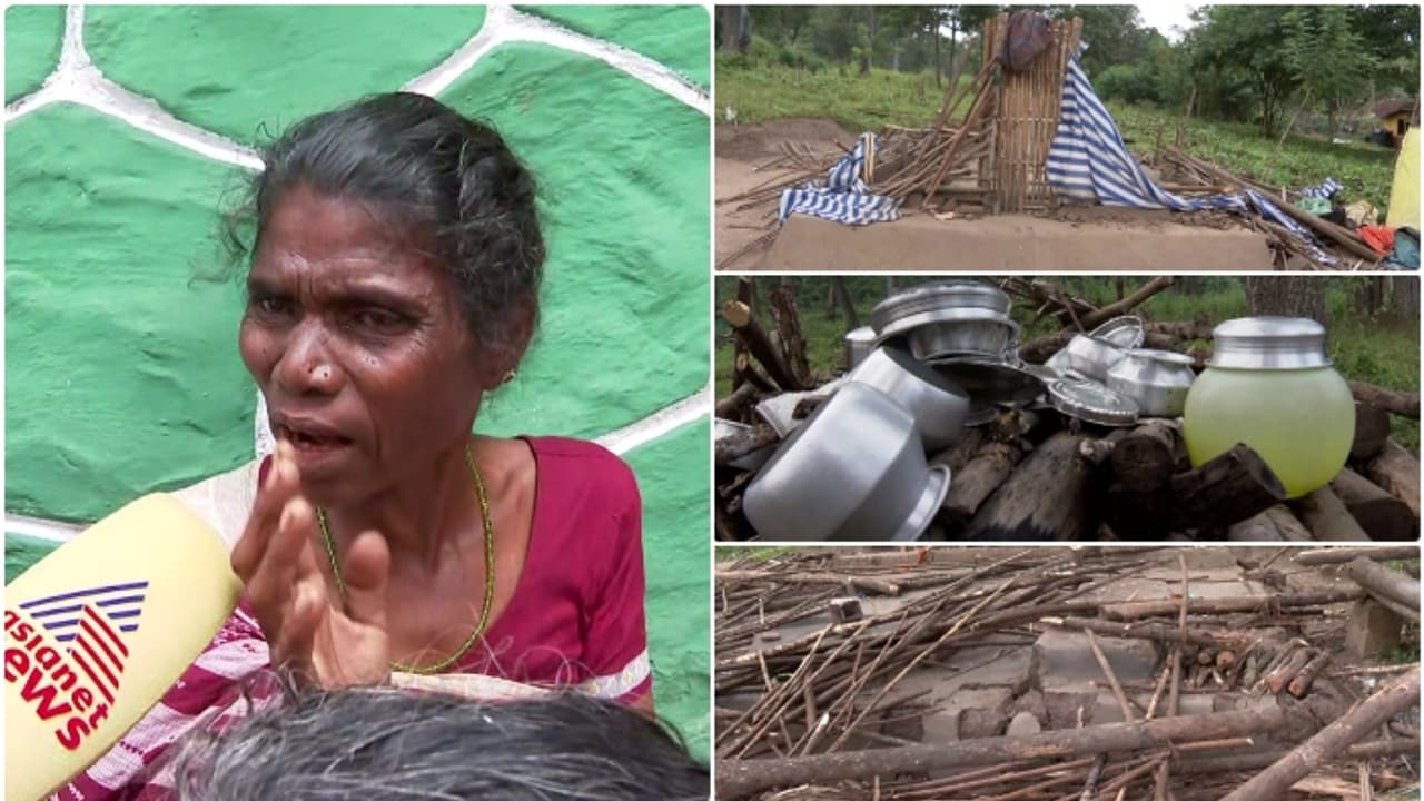 forest department demolished the huts where tribals lived in wayanad ...