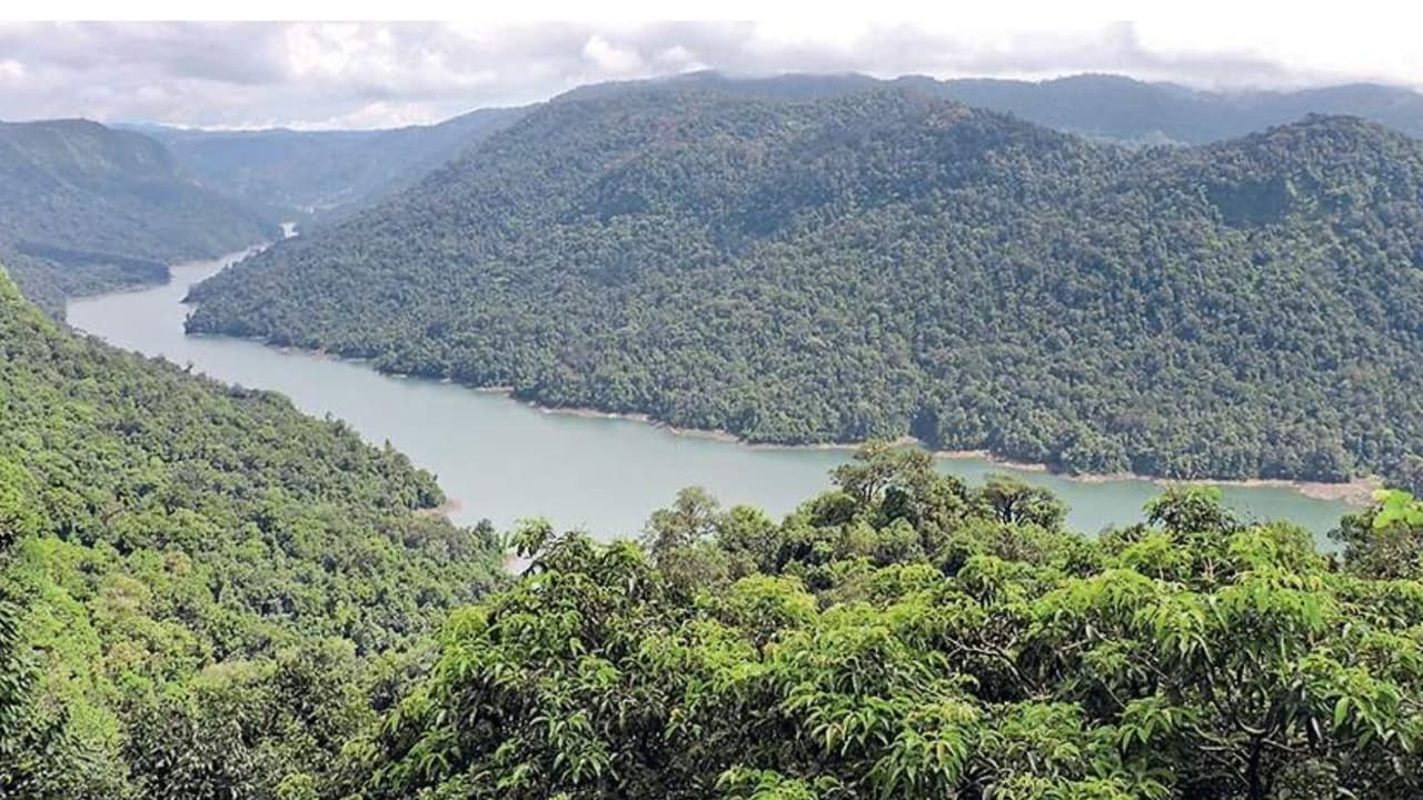 Karnataka: 14,000 trees to be cut, drilling and blasting planned in ...