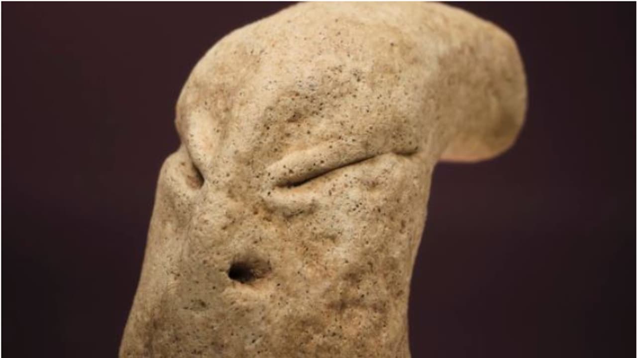 7500 year old Snake-Man sculpture discovered in Kuwait | Asianet Newsable
