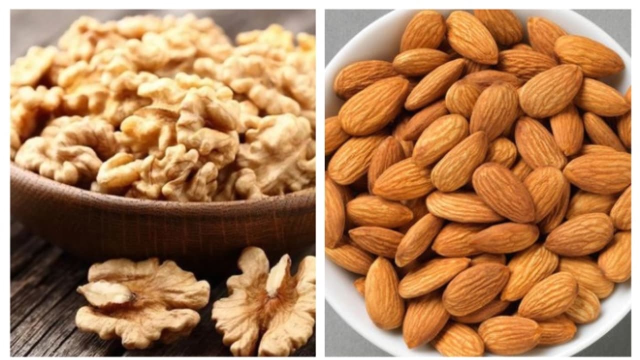 Health Tips : വാൾനട്ടോ ബദാമോ? മുടിയുടെ ആരോ ഗ്യത്തിന് ഏറ്റവും നല്ലത് ...
