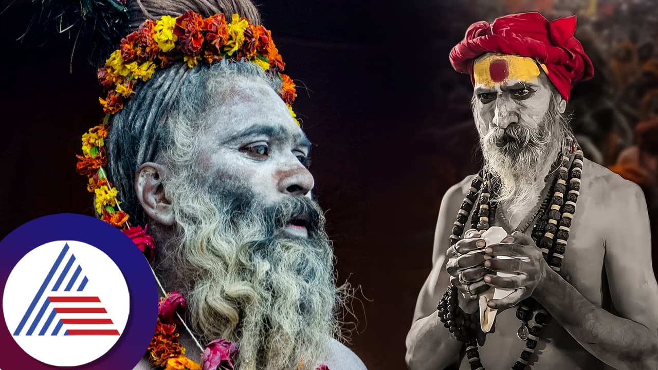 How does a Naga Sadhu survive in the cold without clothes | How Do Naga ...