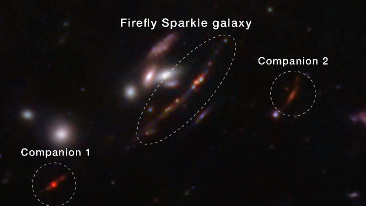 James Webb Space Telescope Captures Firefly Sparkle Galaxy | വീണ്ടും ...