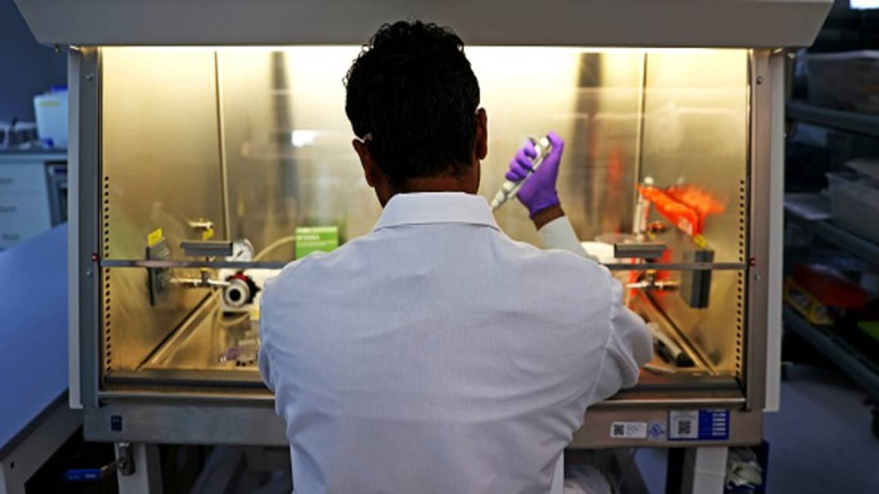 SHOCKING! Scientist reveals gruesome way deadly 'mirror bacteria' could ...