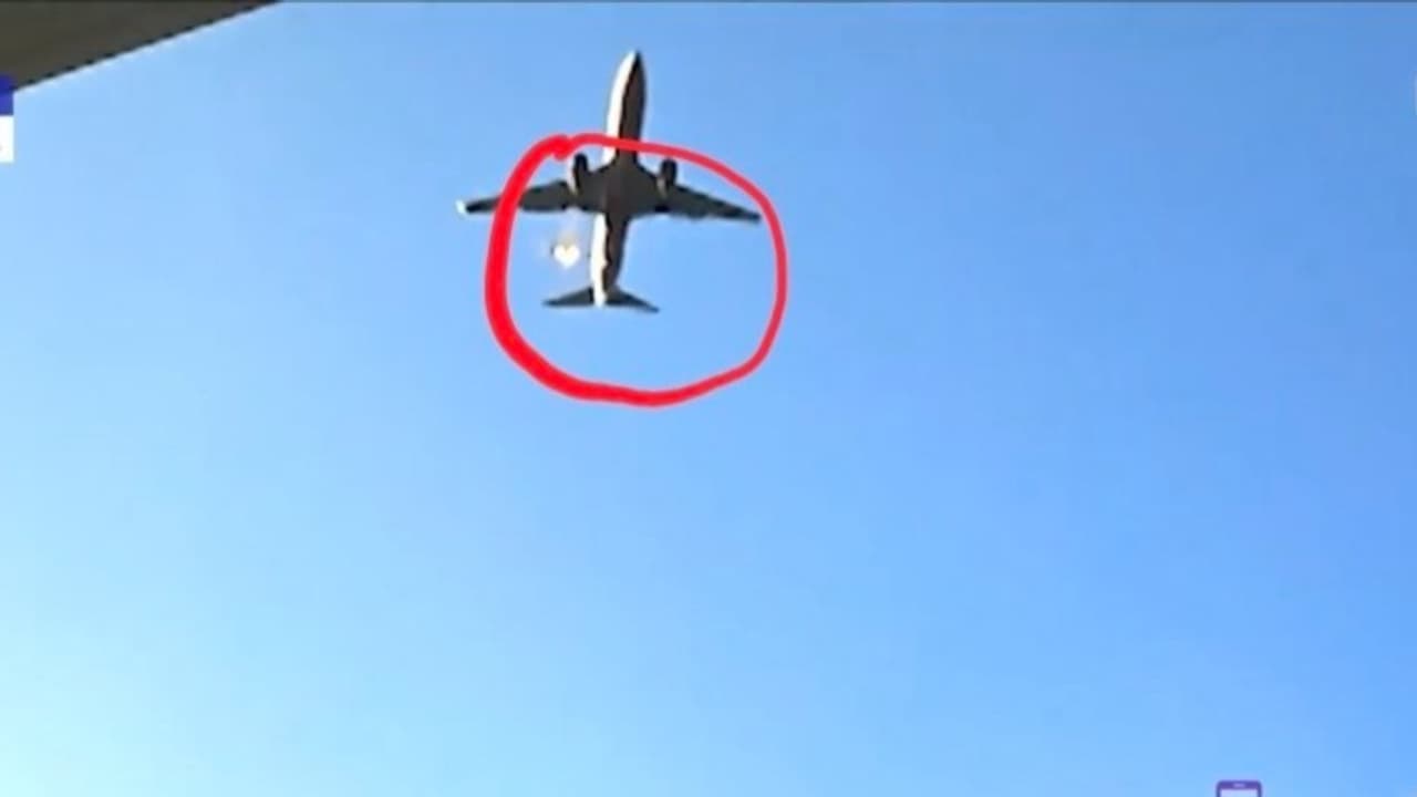 SHOCKING footage shows bird strike on Jeju air flight moments before ...
