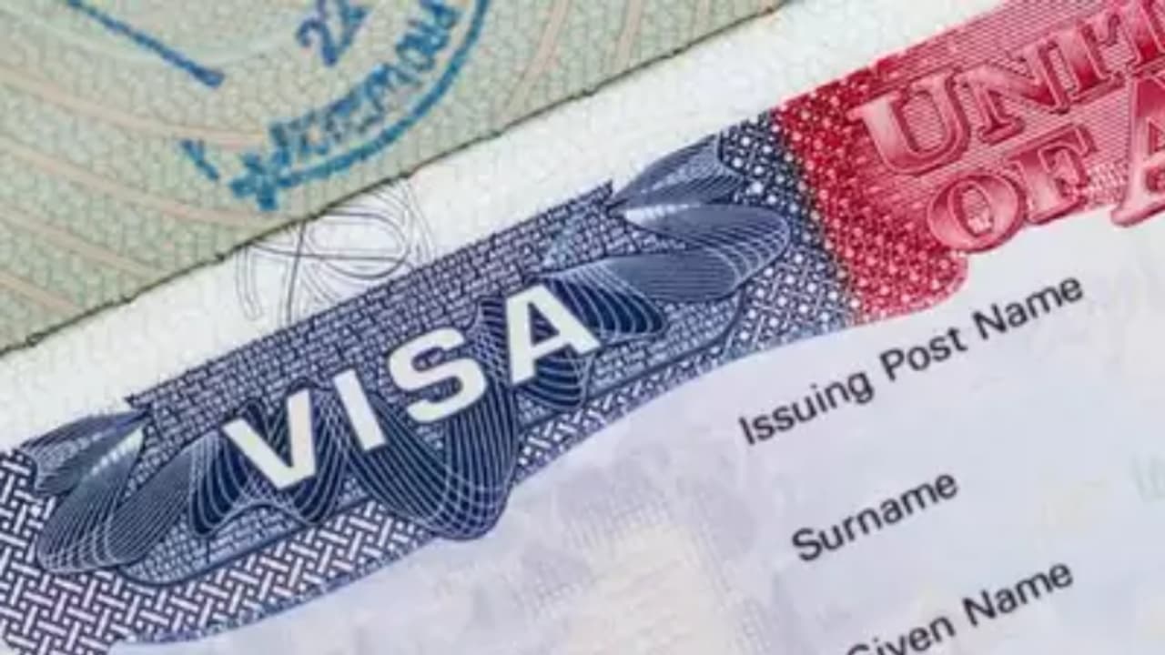 India introduces two new Visas for International students pursuing ...