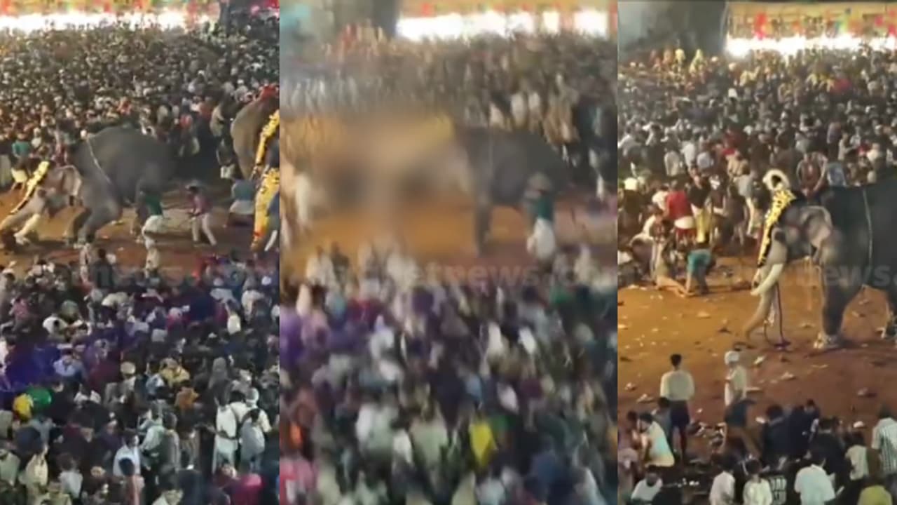 Elephant runs amok during annual festival in Kerala's Malappuram ...