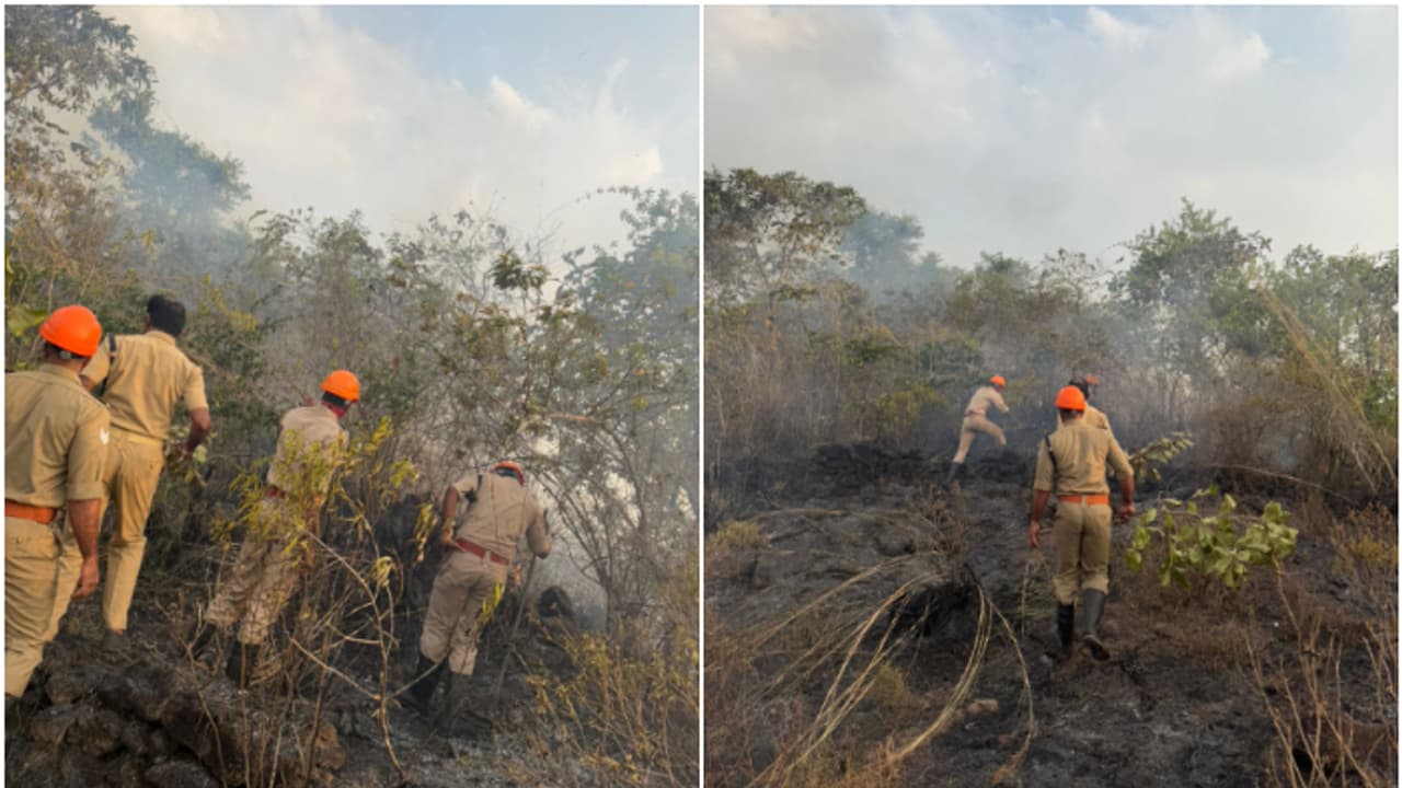 Fire broke out near the temple on Uravapara hill ഉറവപ്പാറ മലമുകളിലെ ...