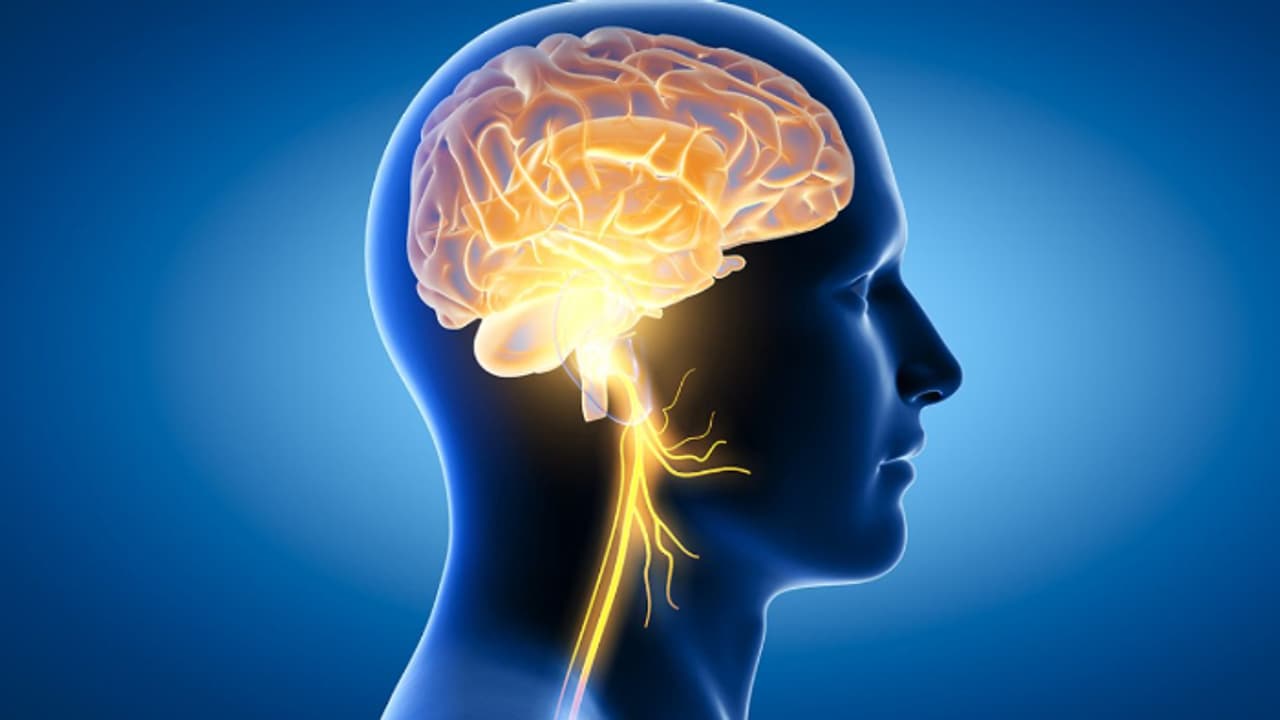 Boosting Memory Power ಮಕ್ಕಳ ಜ್ಞಾಪಕ ಶಕ್ತಿ ಹೆಚ್ಚಿಸುವ 5 ಸರಳ ವಿಧಾನಗಳು ...