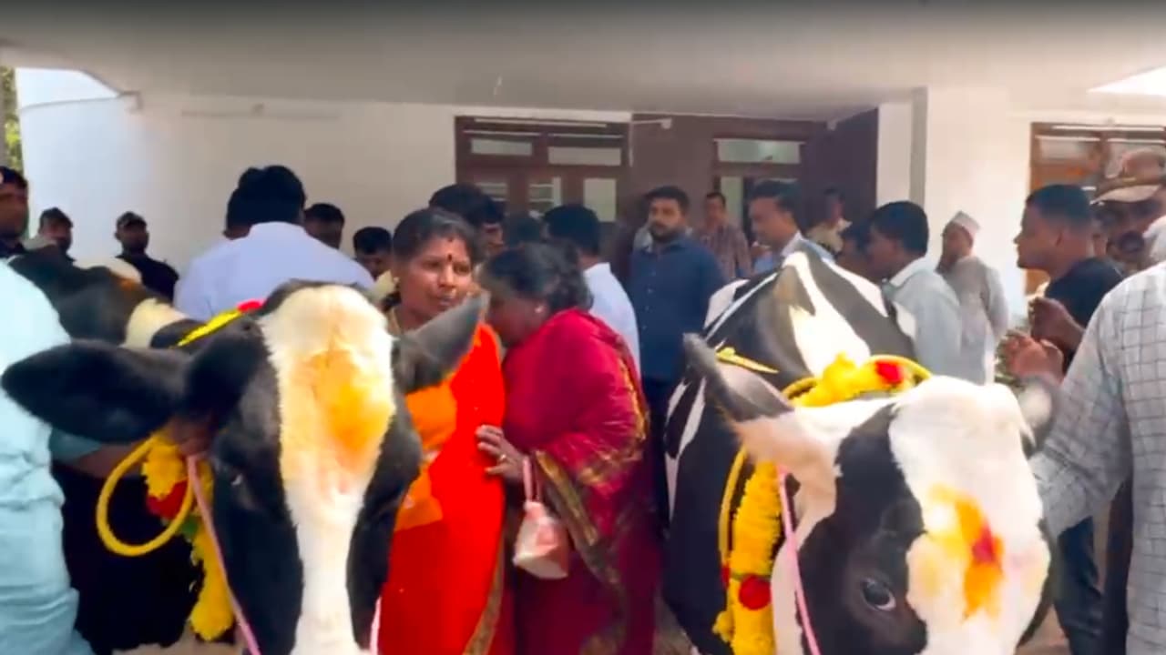Cow udder attack case ಘಟನೆಯಿಂದ ನೋಂದಿರುವ ಹಸು ಮಾಲೀಕ ಕರ್ಣ ಬಿಪಿ ಲೋ ...