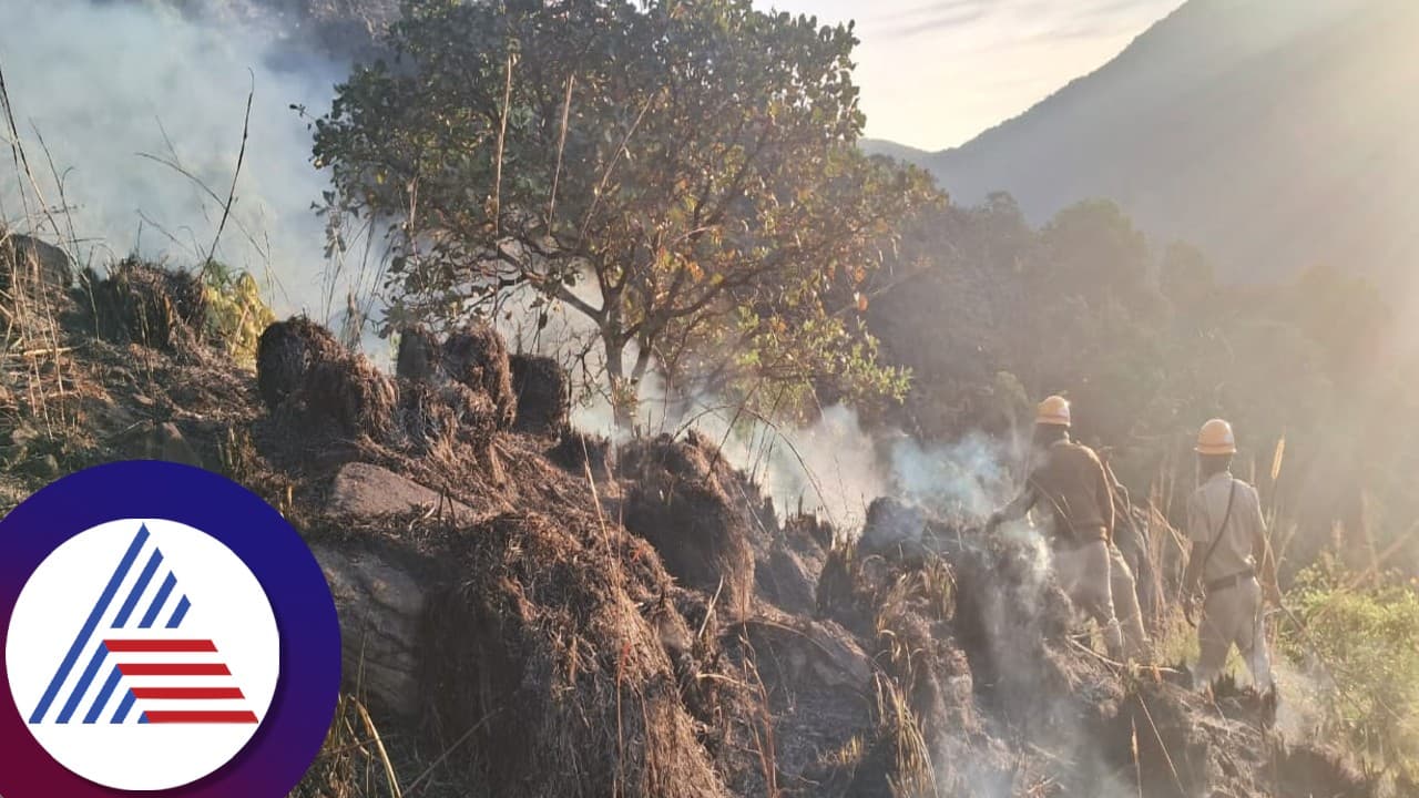 Massive Forest Fire in Charmadi Ghat: ಚಾರ್ಮಾಡಿ ಘಾಟ್‌ನಲ್ಲಿ ಭಾರೀ ...