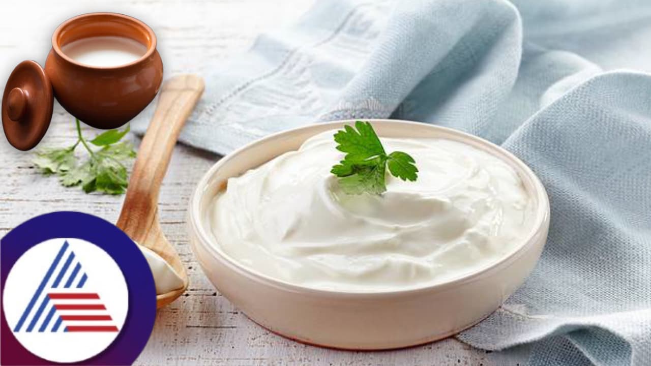 Traditional Kitchen hacks for Curd storage ಮೊಸರು ಹುಳಿ ಬರದಂತೆ ವಾರಗಟ್ಟಲೇ ...