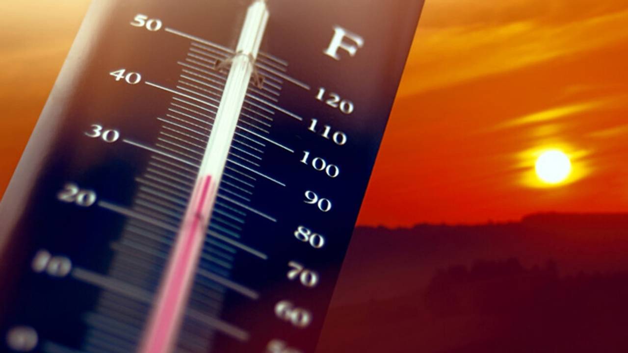Chennai Weather Latest Update: IMD Warns of Heatwave for 4 Days, Rain ...