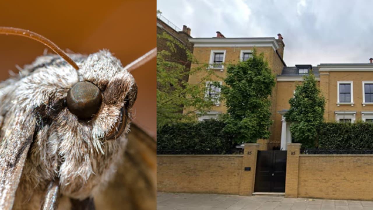 Court cancel sale of moth infested London mansion; മോഹിപ്പിക്കുന്ന ...
