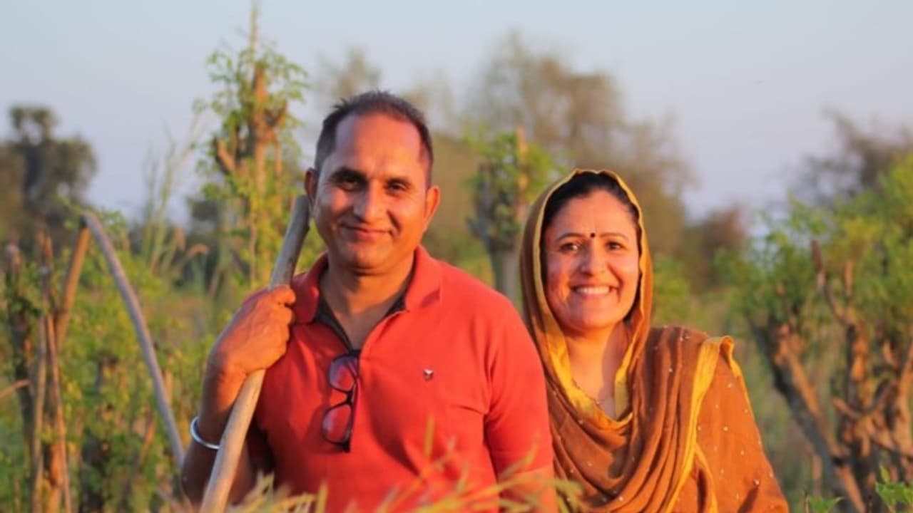 From busy city life to moringa farming: Jeetendra and Sarla’s journey ...