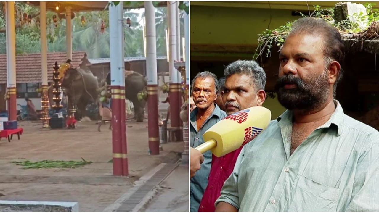 koyilandy temple festival elephant accident found dead Leela gold ...