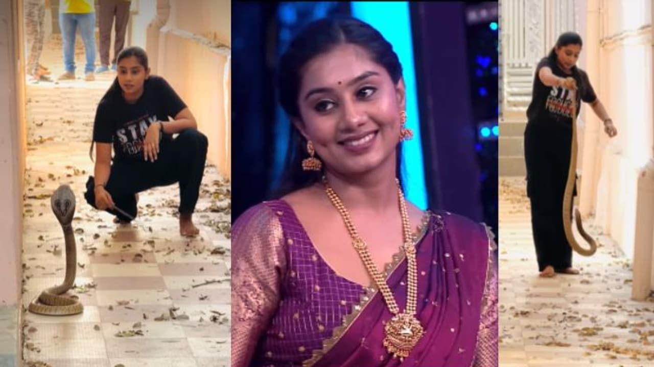 YouTuber Priya Savadi ಏನ್ ಗುರೂ ಪ್ರಿಯಾ ಸವದಿ ಹಿಂಗೆ ಹಾವು ಆಡಿಸ್ತಾಳೆ; ಎಷ್ಟು ...